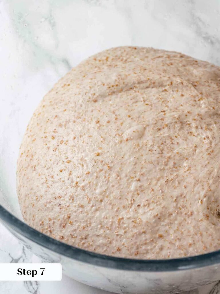 Whole Wheat Sourdough Bread - Girl Versus Dough