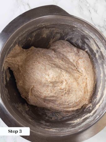Whole Wheat Sourdough Bread - Girl Versus Dough
