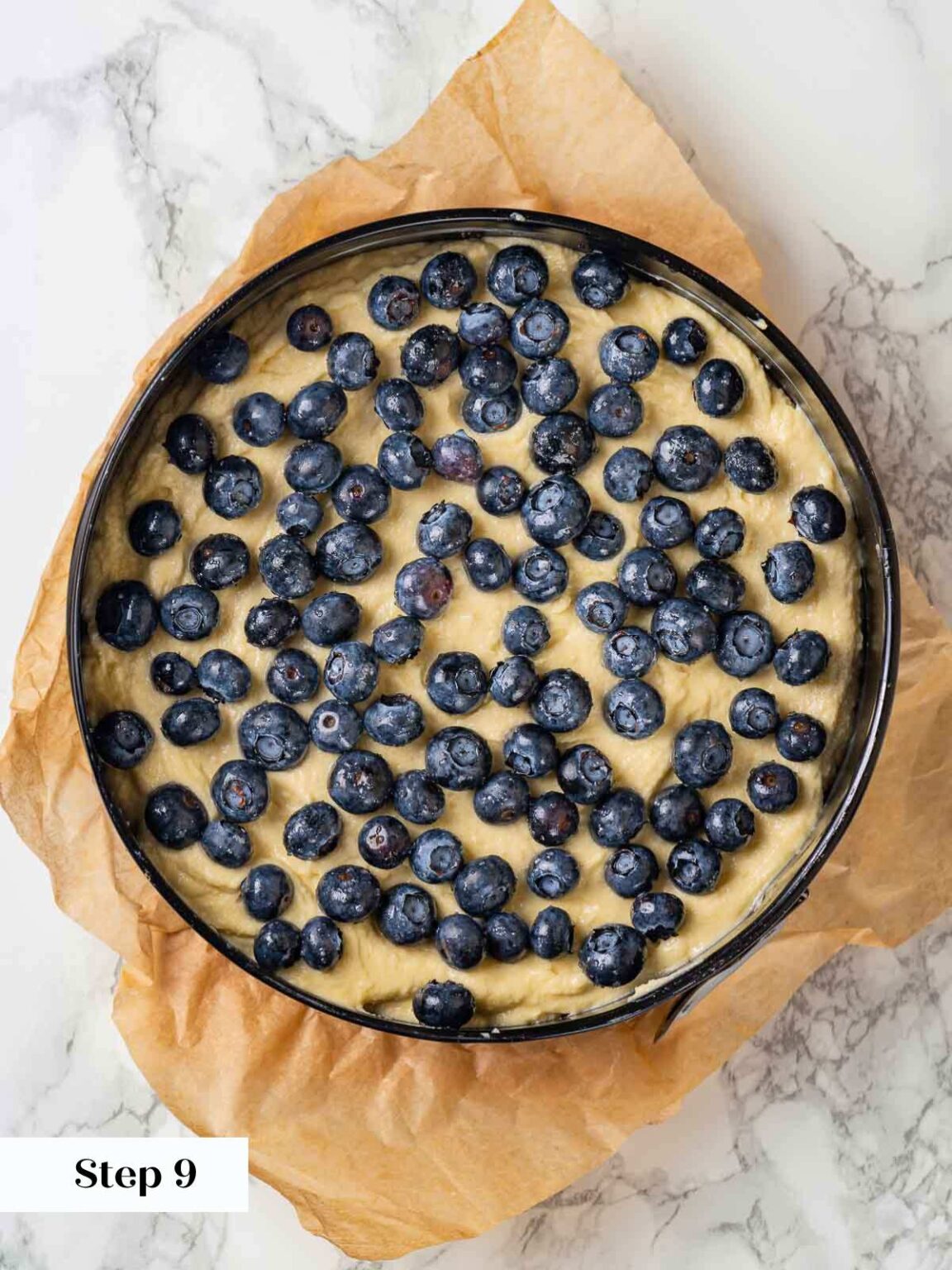 Blueberry Cake Recipe - Girl Versus Dough