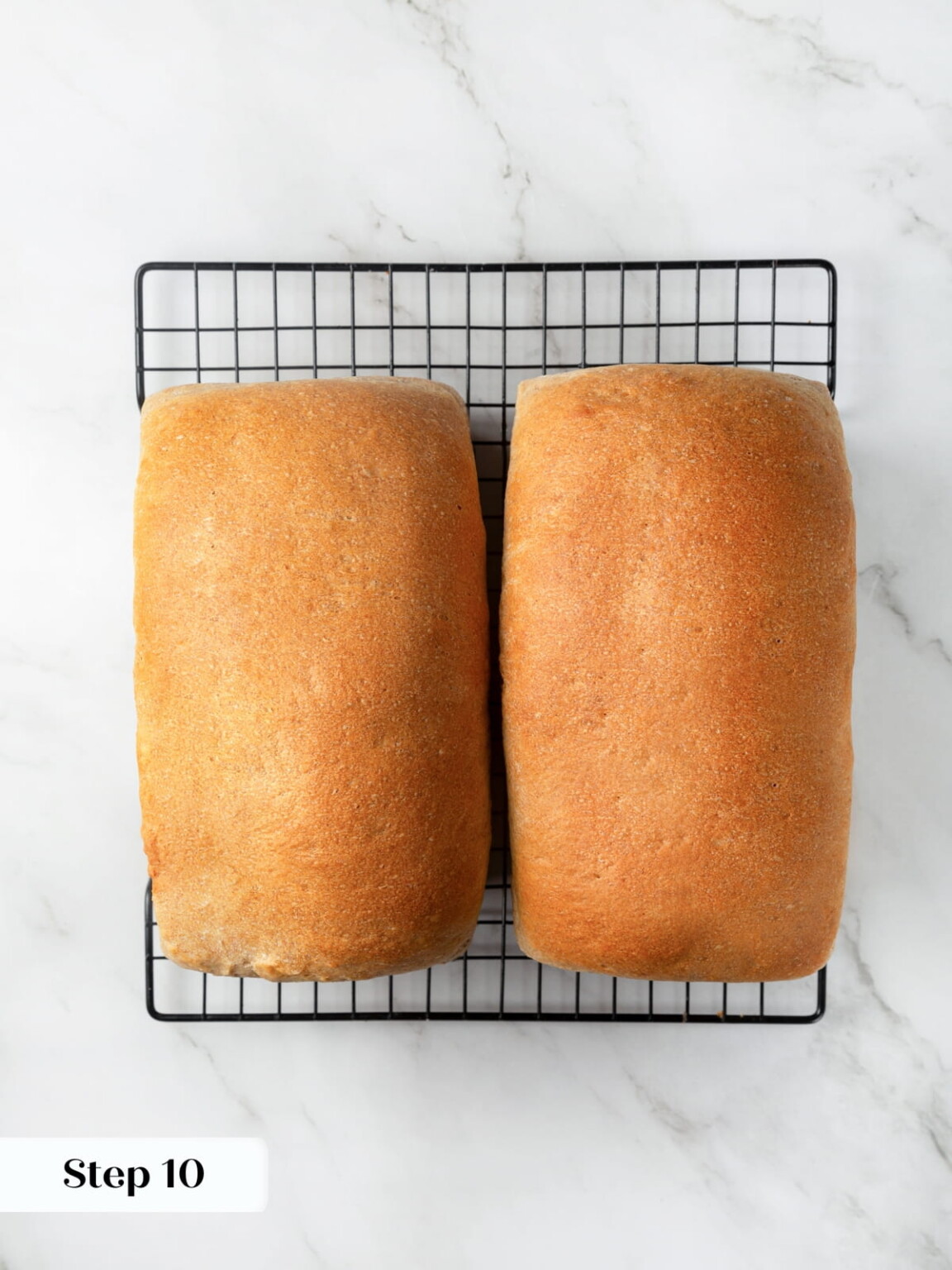 Rye Bread Recipe - Girl Versus Dough